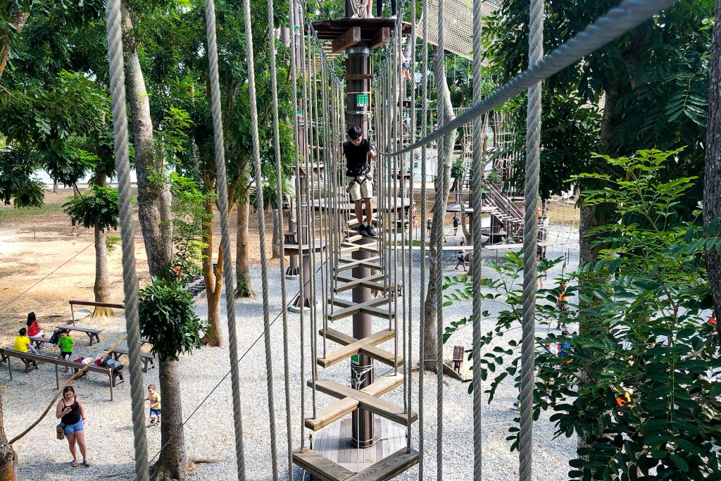 Forest Adventure: 3 Hours of Fun in Singapore’s Iconic Treetop Obstacle ...