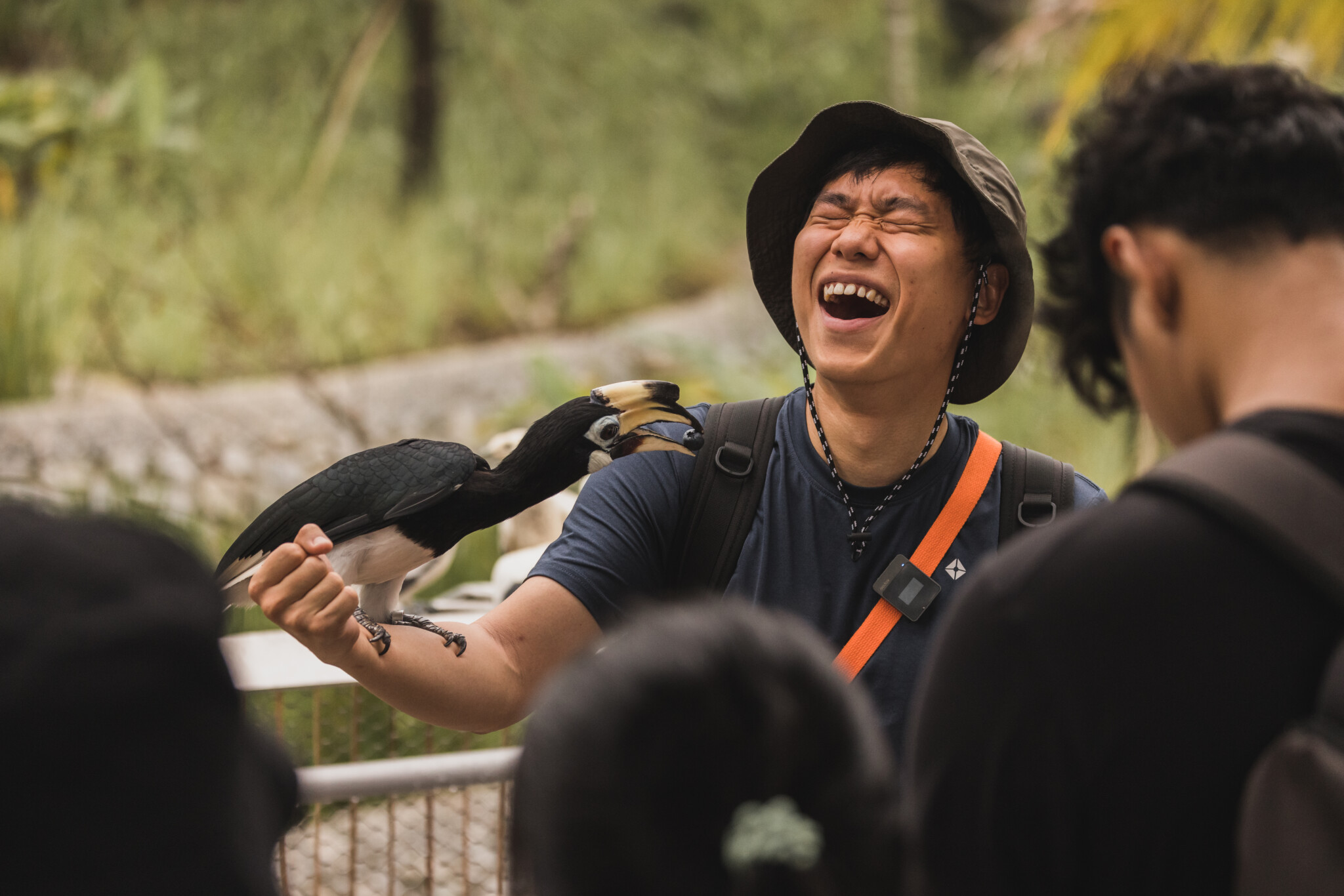 First Look at Bird Paradise: Highlights from Singapore's new bird park