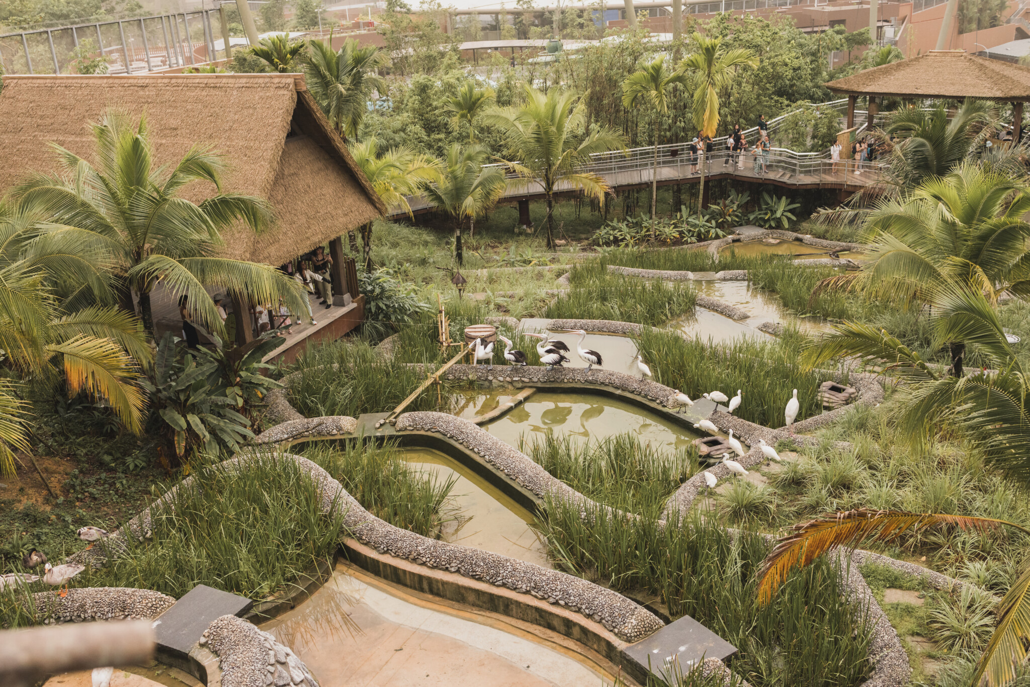 First Look at Bird Paradise: Highlights from Singapore's new bird park