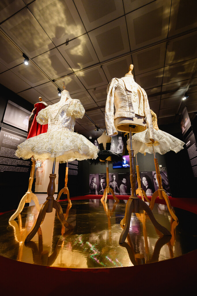 Step Behind The Curtain: Alliance Française’s Free Ballet Exhibition ...